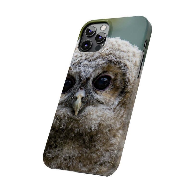 Barred Owl Phone Case Apple iPhone Cover Nature Wildlife Photography ...