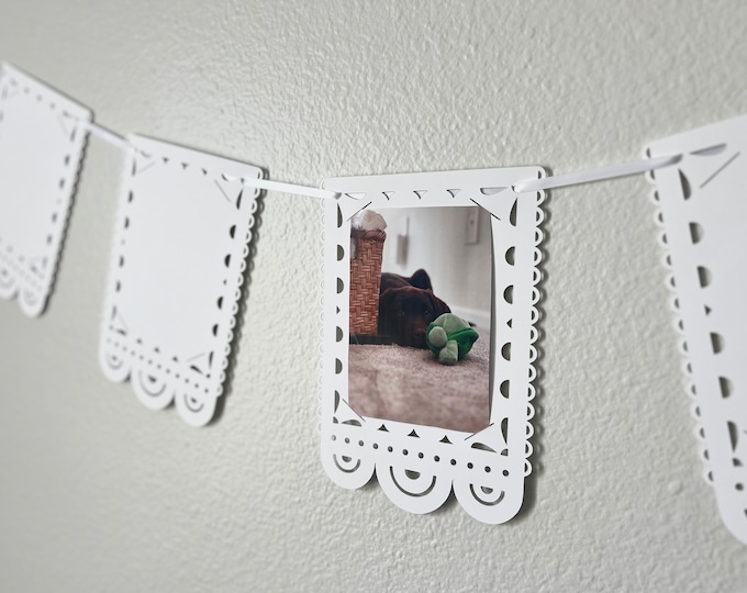Papel Picado Photo Banner Backdrop Birthday Decor Garland Fiesta Party ...
