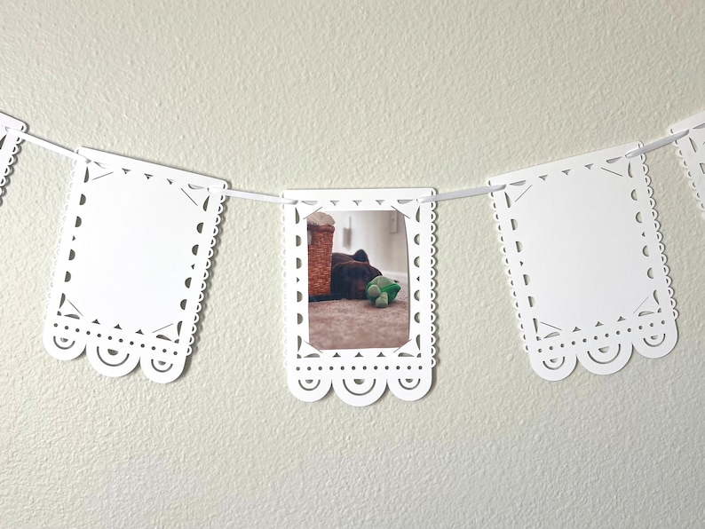 Papel Picado Photo Banner Backdrop Birthday Decor Garland Fiesta Party ...