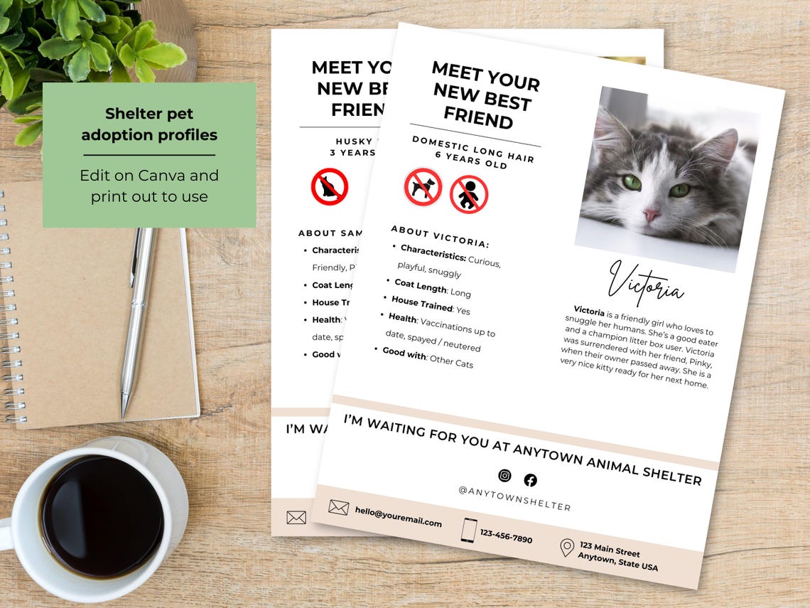 Editable Shelter Pet Adoption Profile, Animal Shelter Kennel Card ...