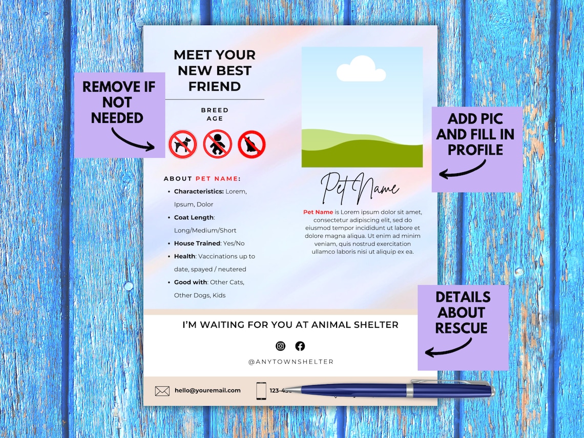 Editable Cat Adoption Event Tear off Flyer, Nonprofit Animal Shelter ...