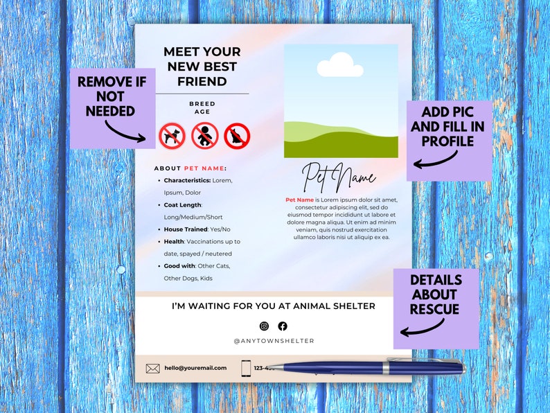 Editable Cat Adoption Event Tear off Flyer, Nonprofit Animal Shelter ...