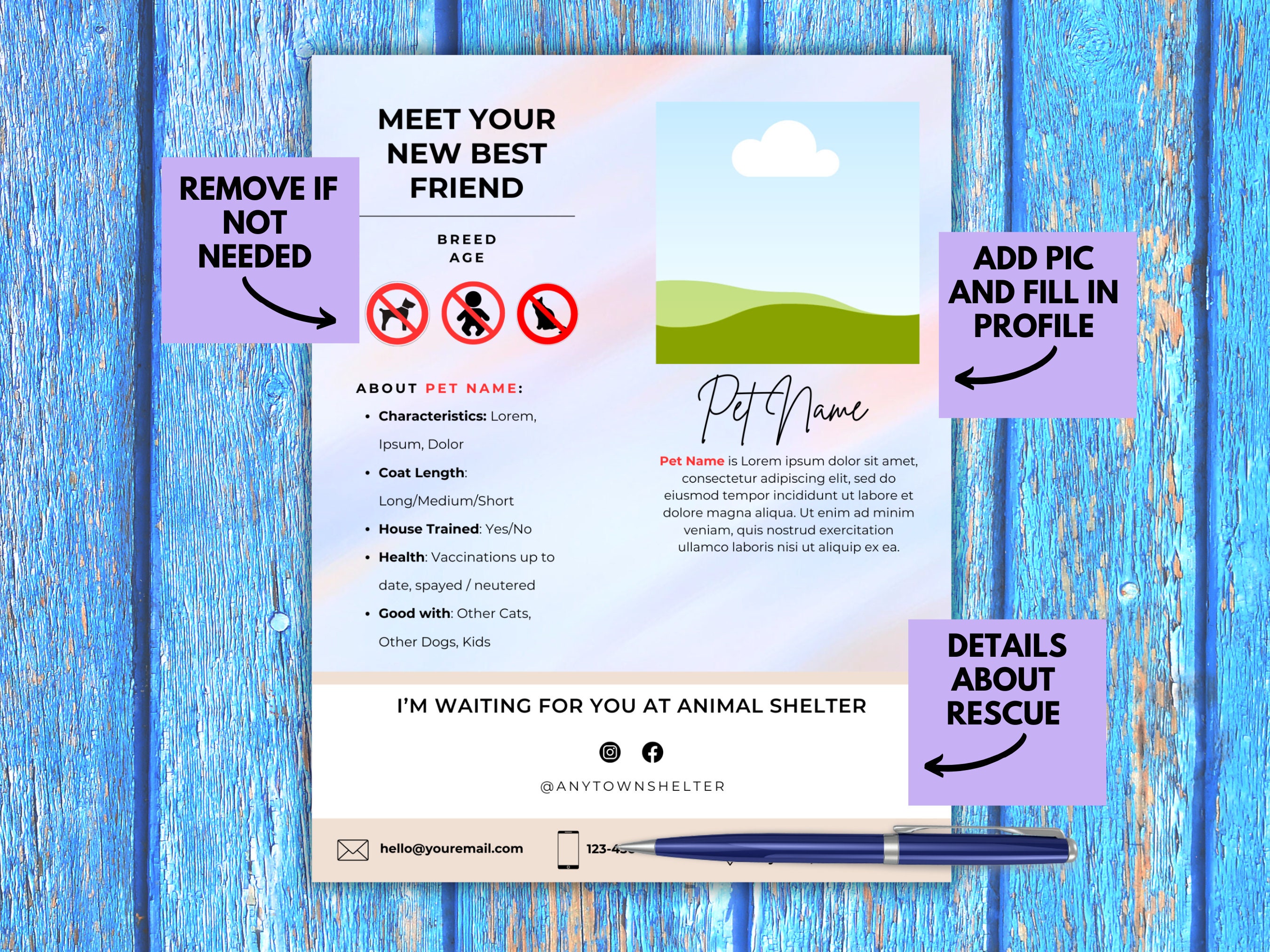 Editable Cat Adoption Event Tear off Flyer, Nonprofit Animal Shelter ...