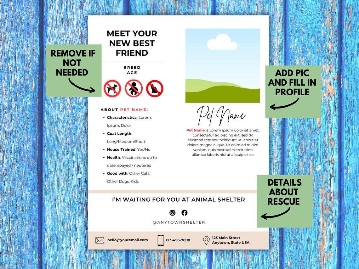 Editable Shelter Pet Adoption Profile, Animal Shelter Kennel Card ...