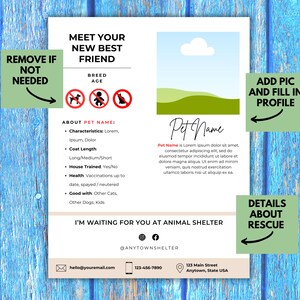 Editable Shelter Pet Adoption Profile, Animal Shelter Kennel Card ...