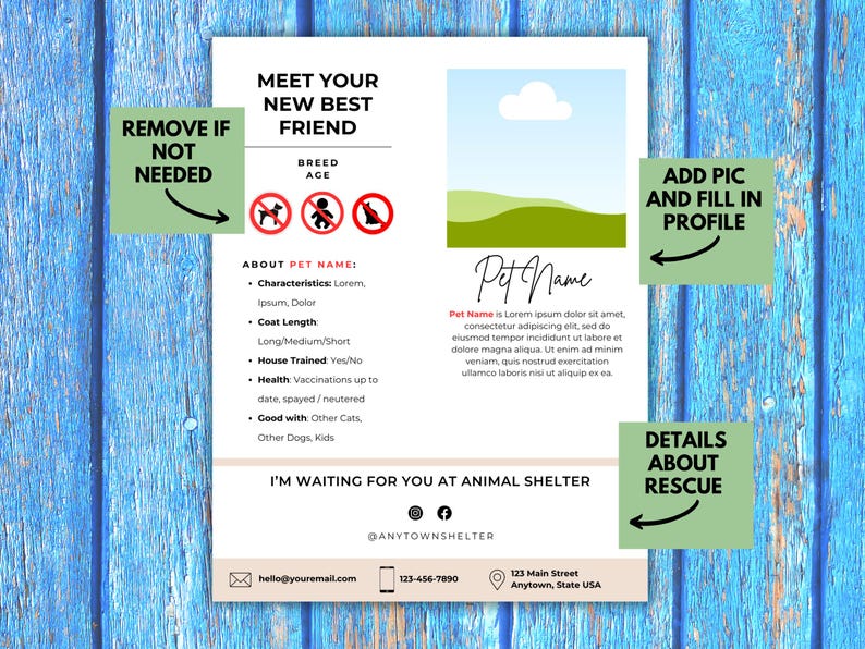 Editable Shelter Pet Adoption Profile, Animal Shelter Kennel Card ...