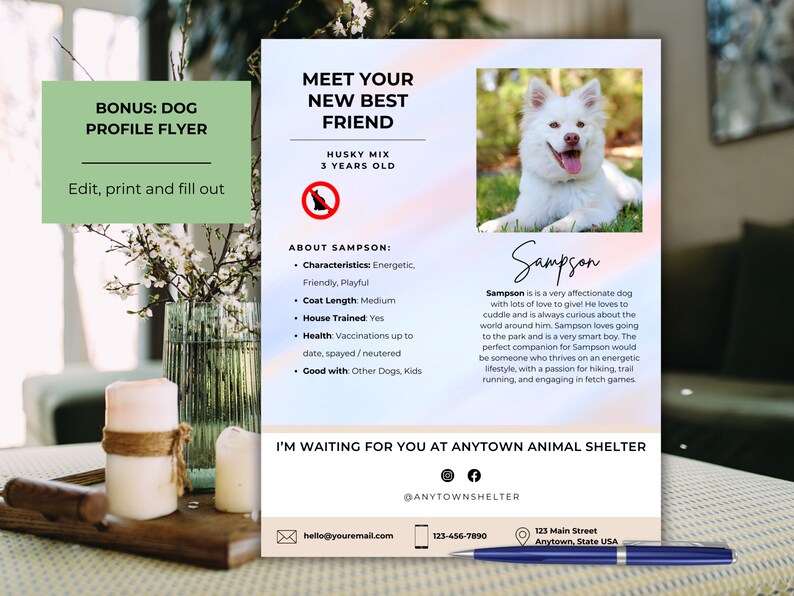 Editable Pet Adoption Event Tear off Flyer, Nonprofit Animal Shelter ...