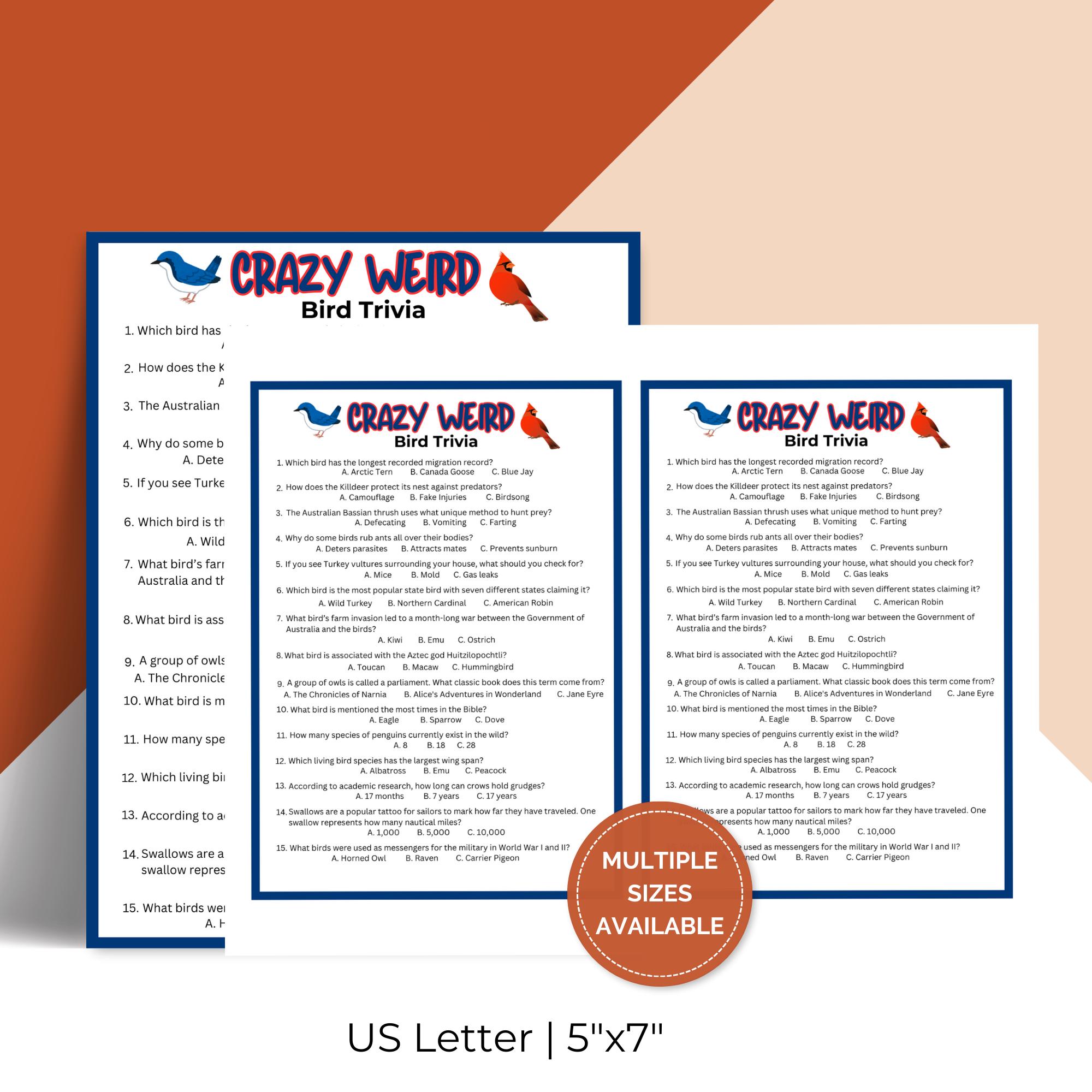 Printable Crazy Weird Bird Nerd Trivia Game, Pub Trivia, Icebreaker ...