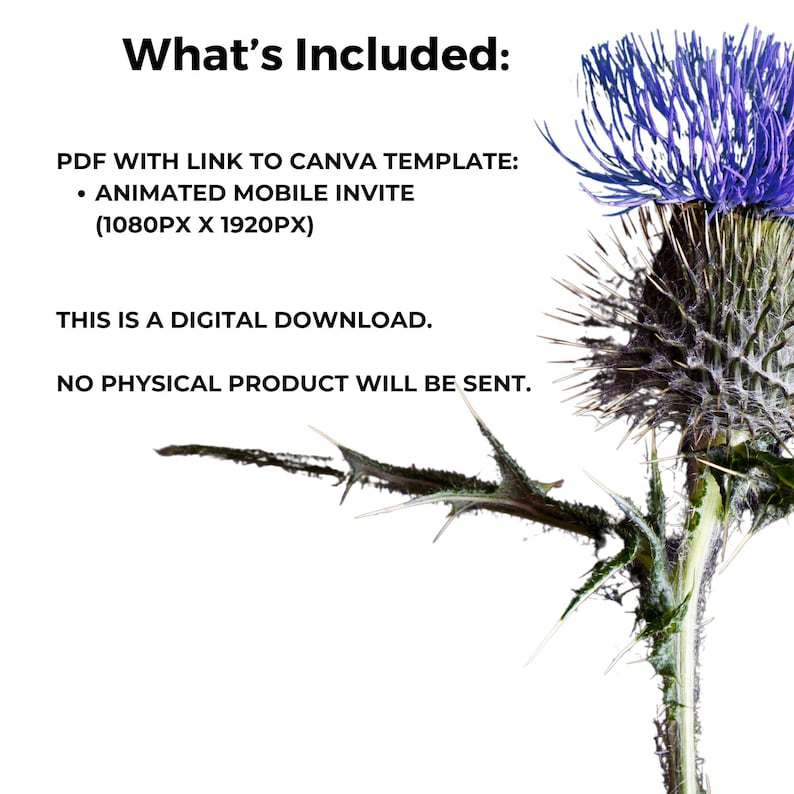 Editable Burns Night Mobile Animated Invitation, Robert Burns Supper ...