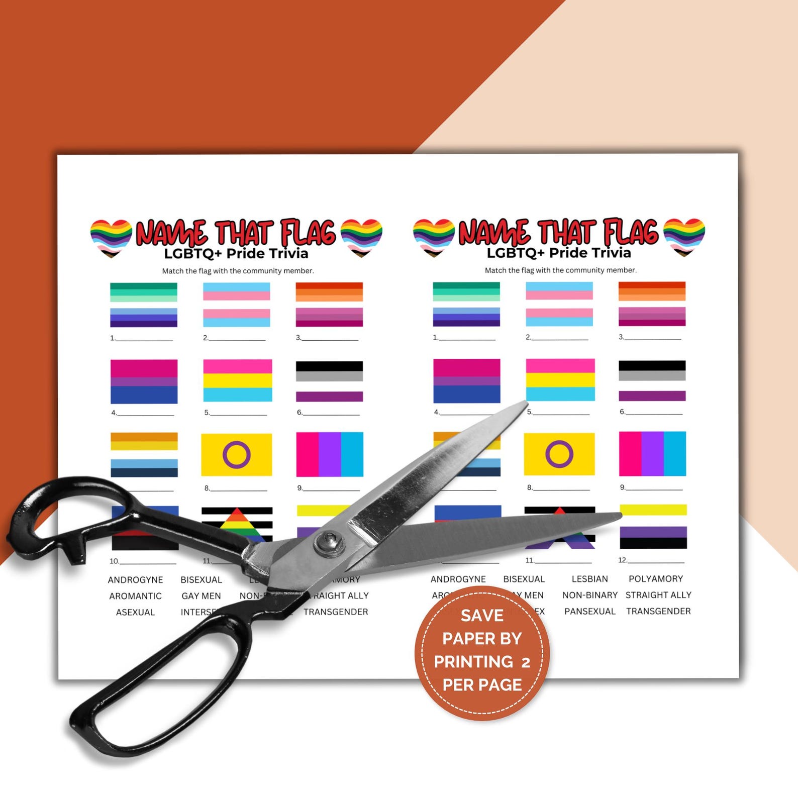 Printable LGBTQ Pride Flags Matching Trivia Game, Pub Trivia Night ...
