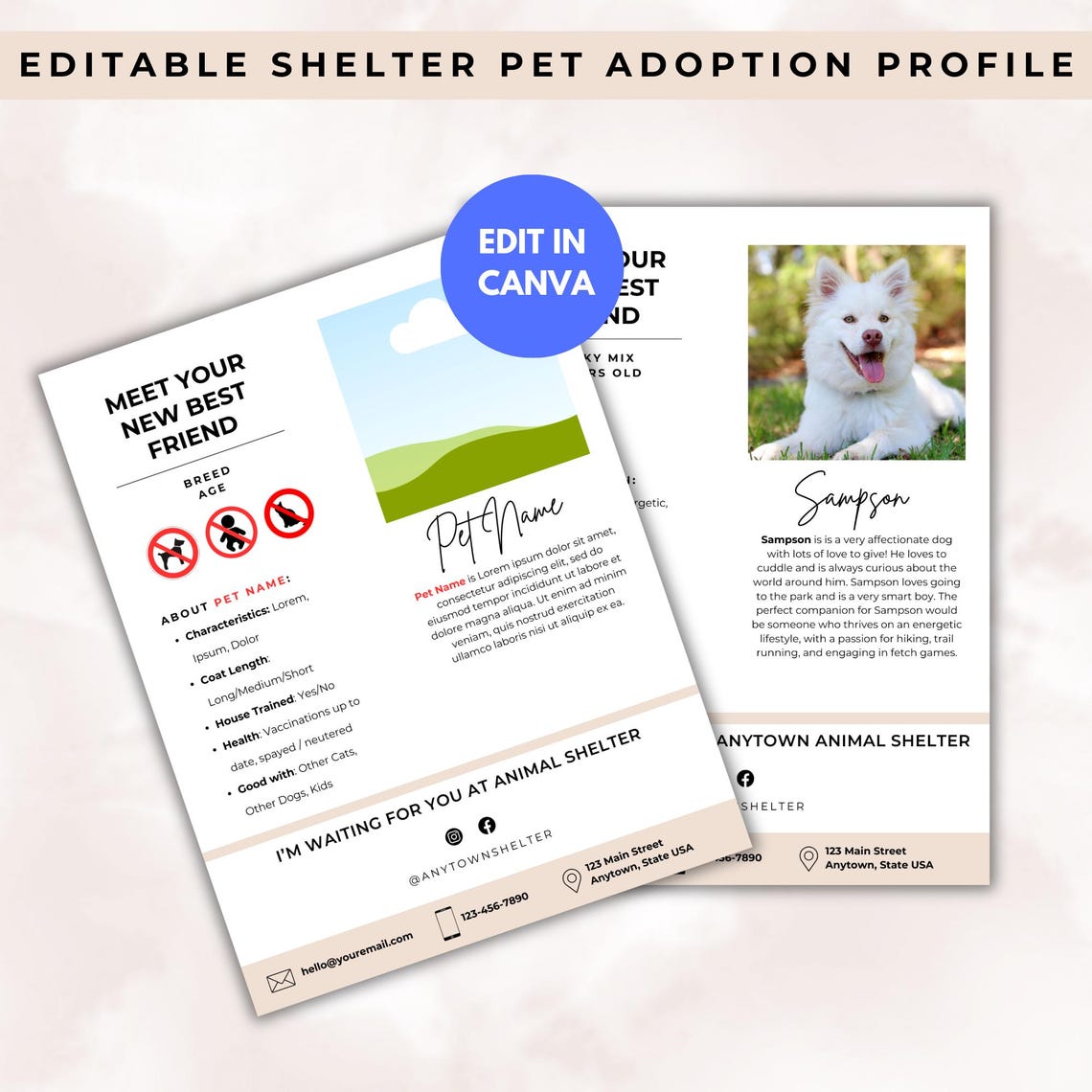 Editable Shelter Pet Adoption Profile, Animal Shelter Kennel Card ...