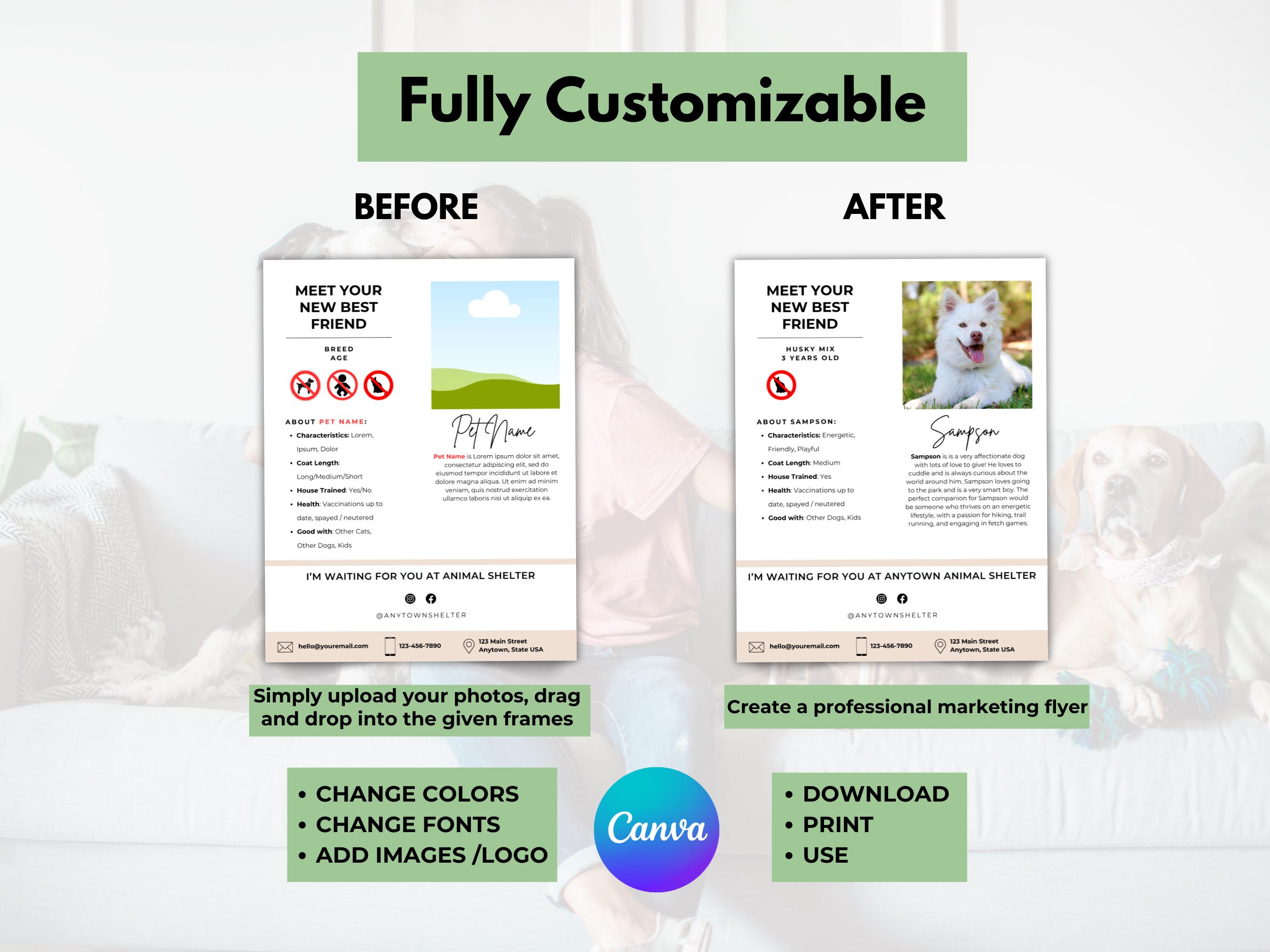 Editable Shelter Pet Adoption Profile, Animal Shelter Kennel Card ...