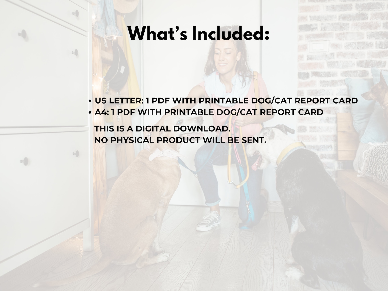 Printable Dog Report Card, Pet Report Card, Dog Sitter Template, Doggy ...