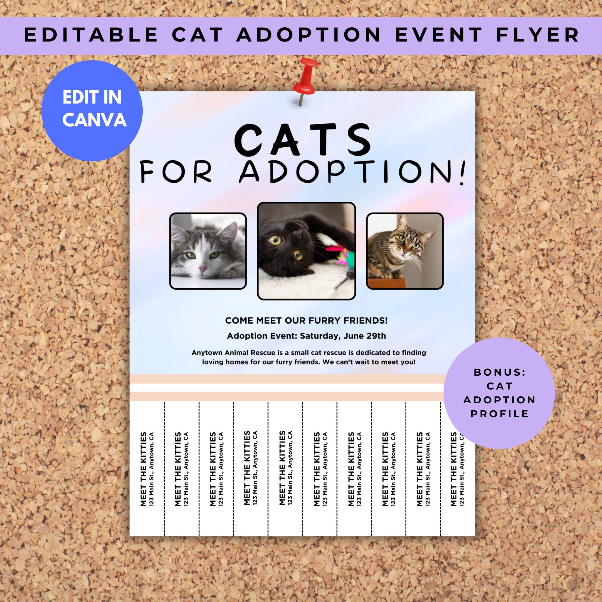 Editable Cat Adoption Event Tear off Flyer, Nonprofit Animal Shelter ...