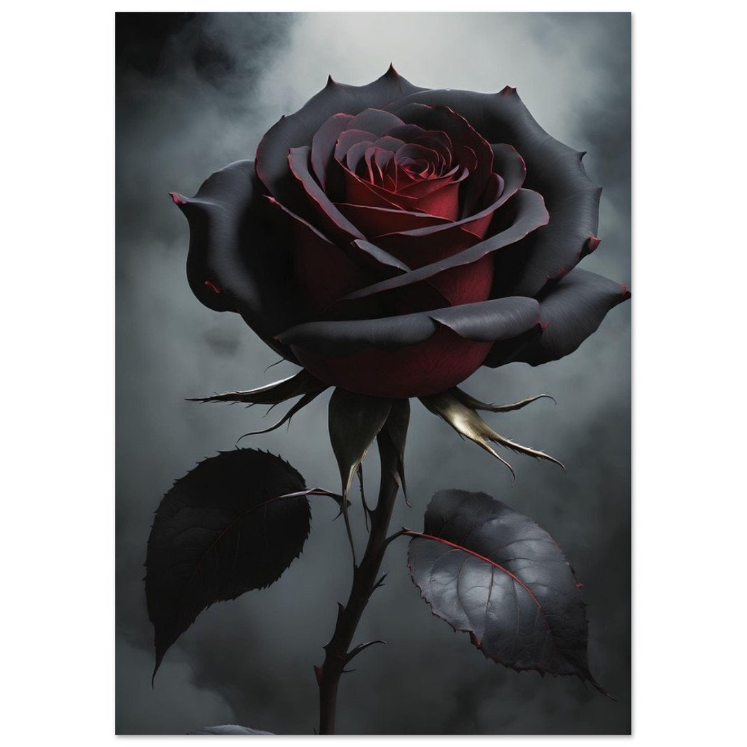 Death and Decay Rose - Poster - Etsy