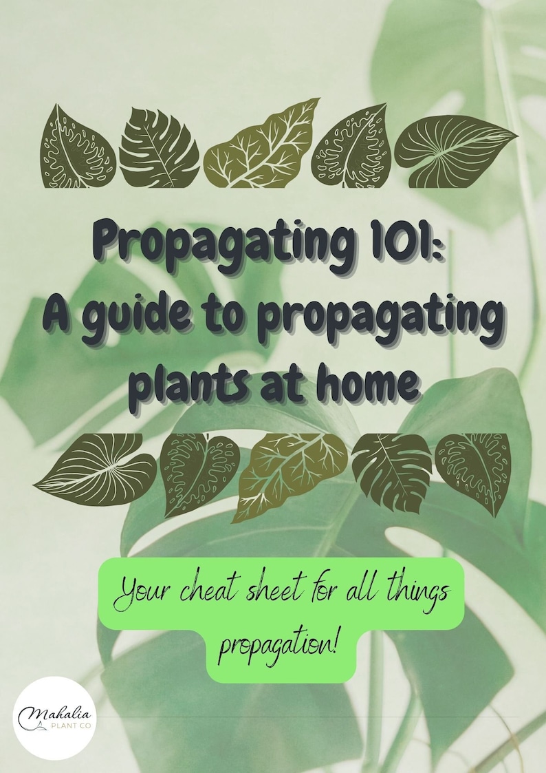 Propagating Plants 101 - Digital Guide - Etsy