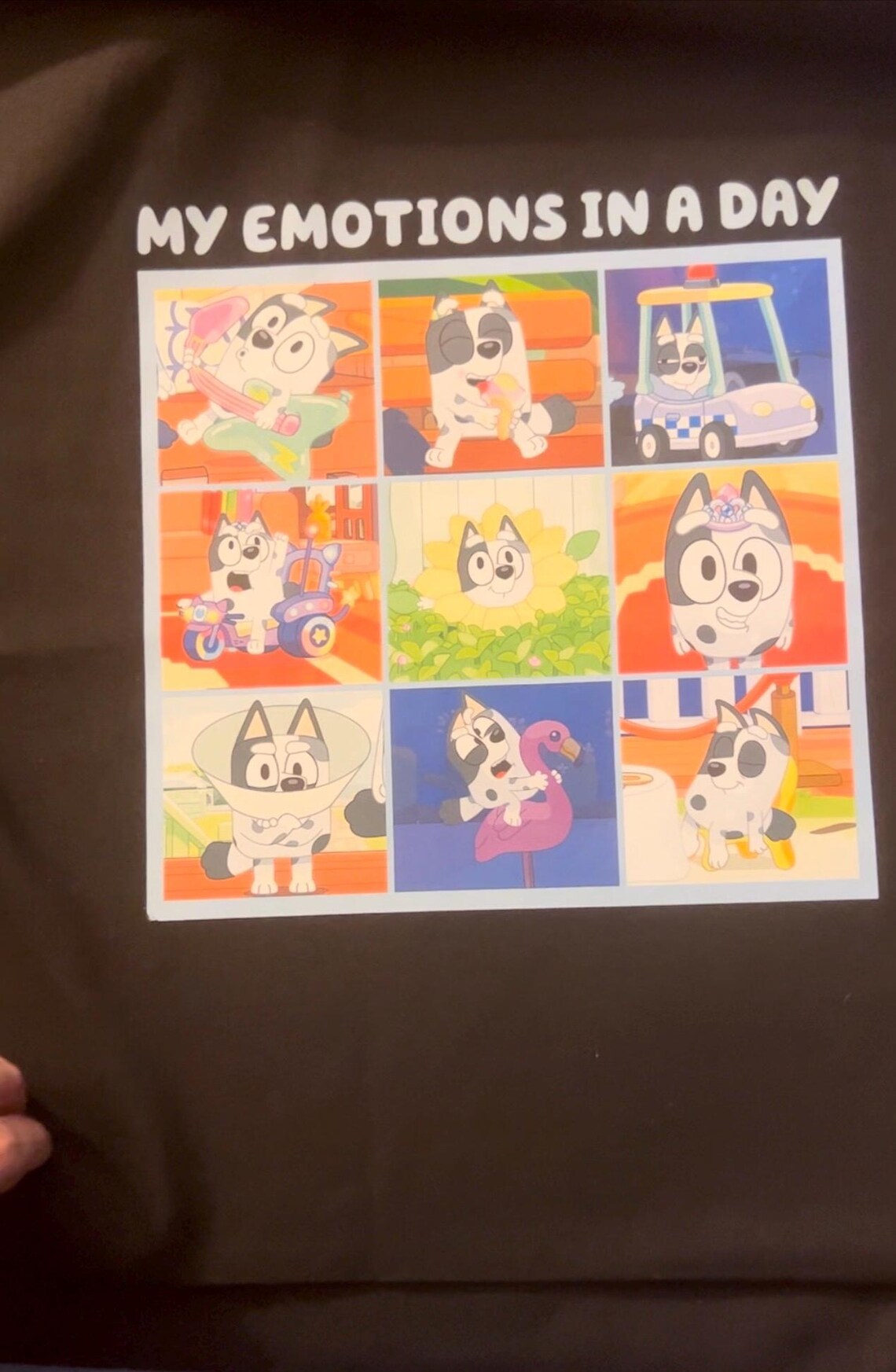 Bluey Emotions Tote - Etsy