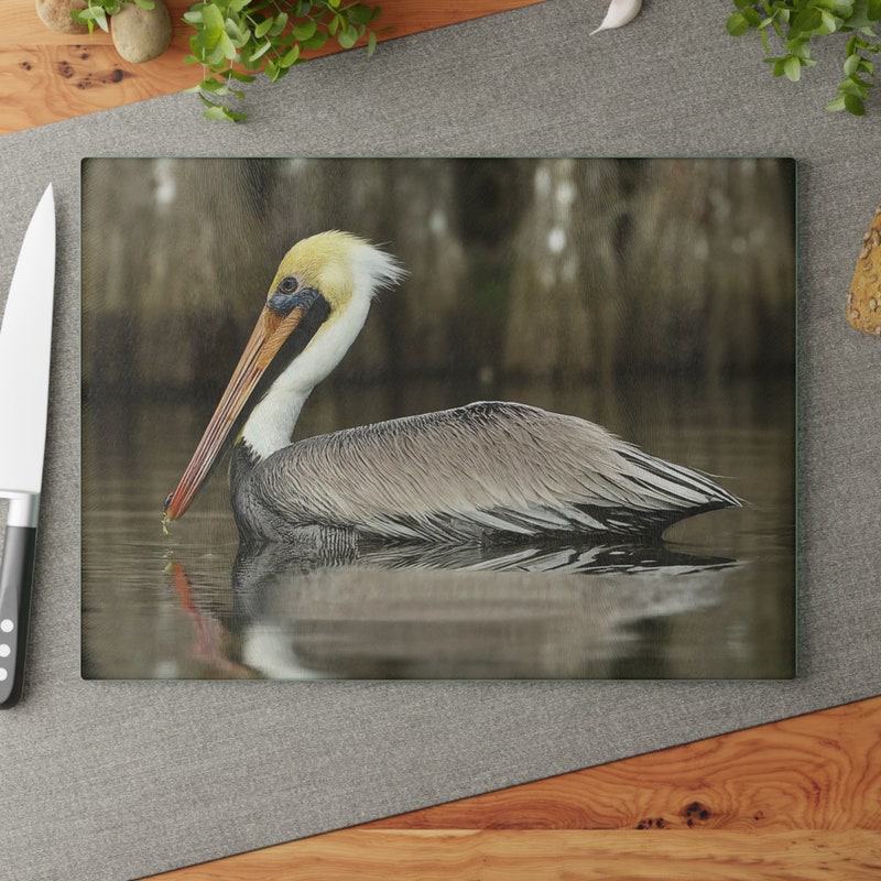 Bayou Scene Svg - Etsy