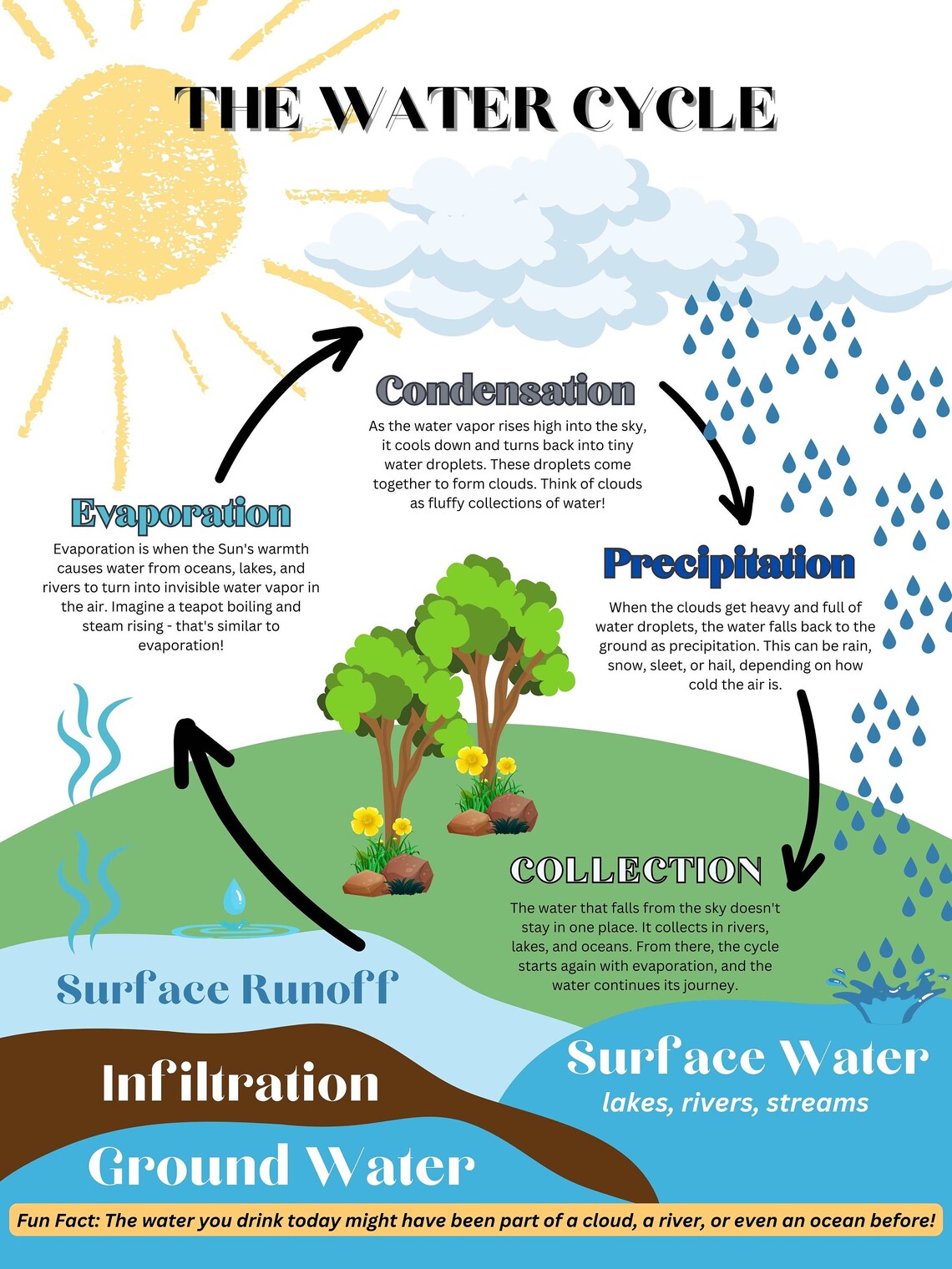 4th Grade Educational Poster BUNDLE_ Water Cycle & Photosynthesis_ High ...