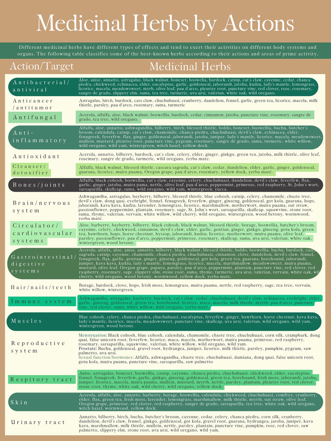 Herbal Actions Chart: Naturopath Student Gift, Herbal Medicine Poster ...