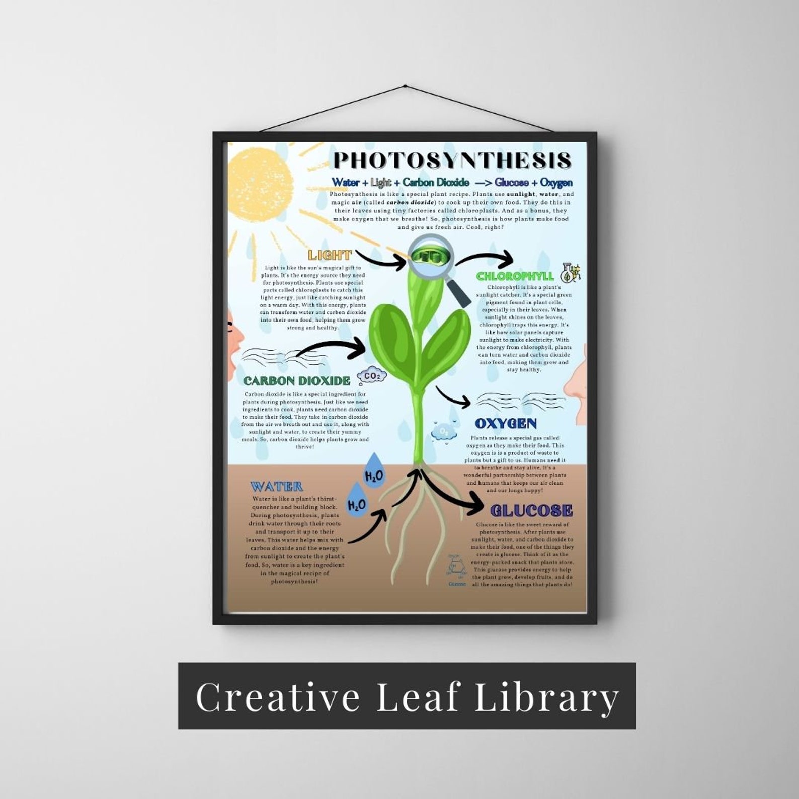 4th Grade Educational Poster BUNDLE_ Water Cycle & Photosynthesis_ High ...
