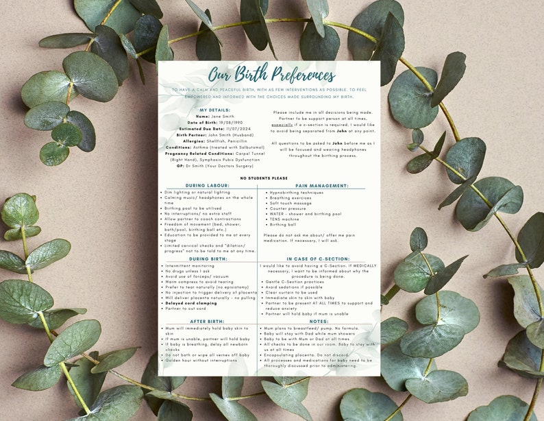 Birth Plan Template | Editable & Printable | Birth Preferences ...