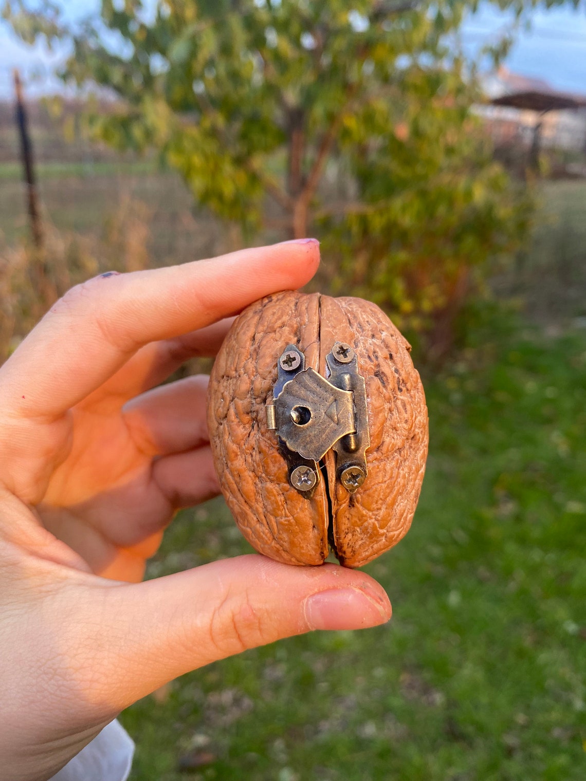 Walnut Shell Diorama - Etsy