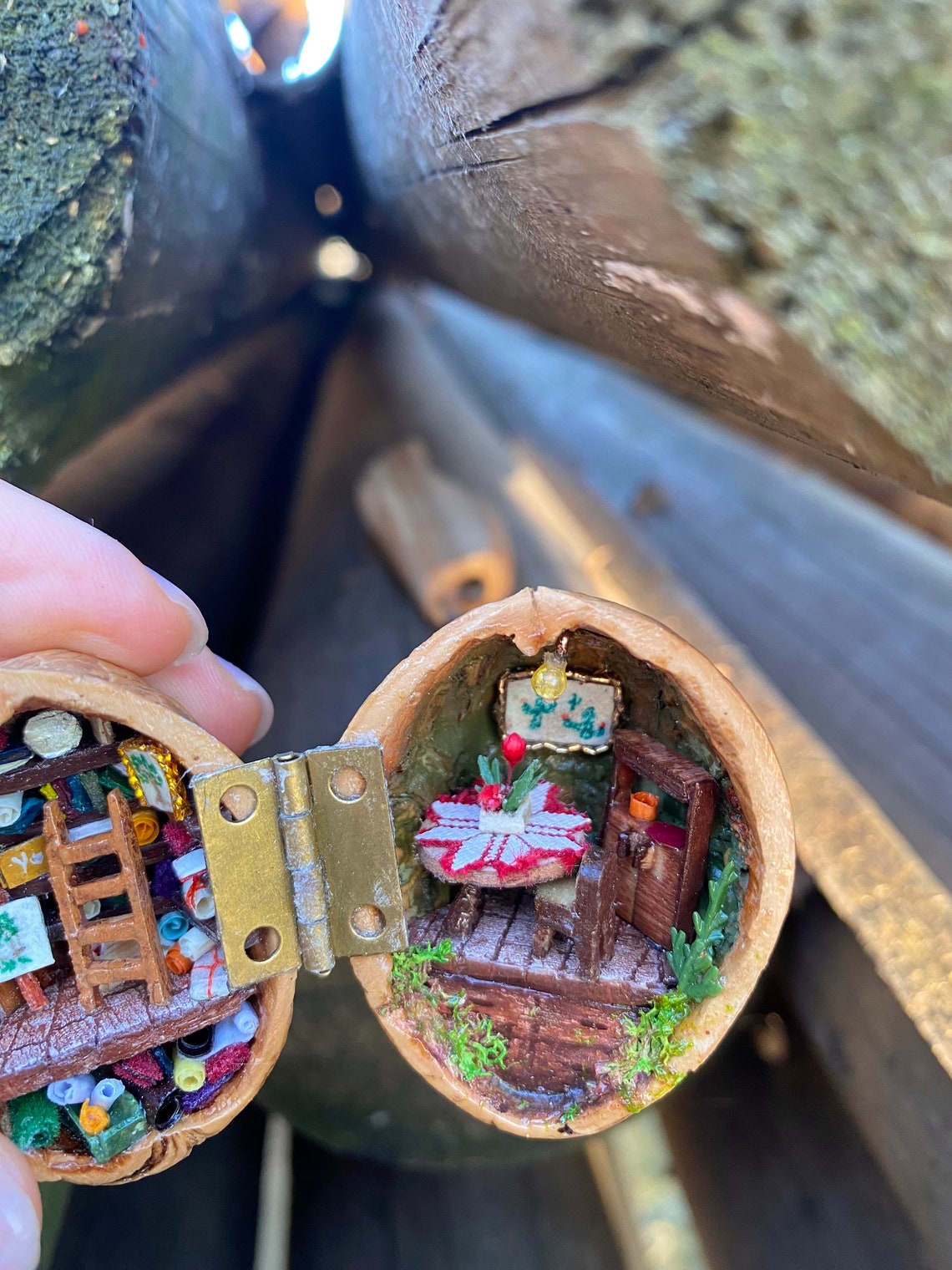 Walnut Shell Diorama - Etsy