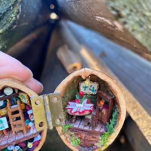Walnut Shell Diorama - Etsy