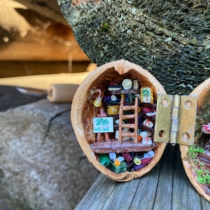 Walnut Shell Diorama - Etsy