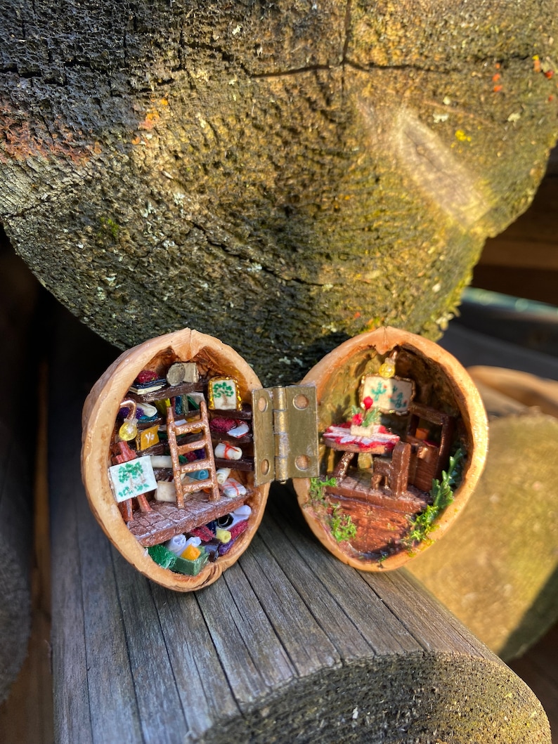 Walnut Shell Diorama - Etsy