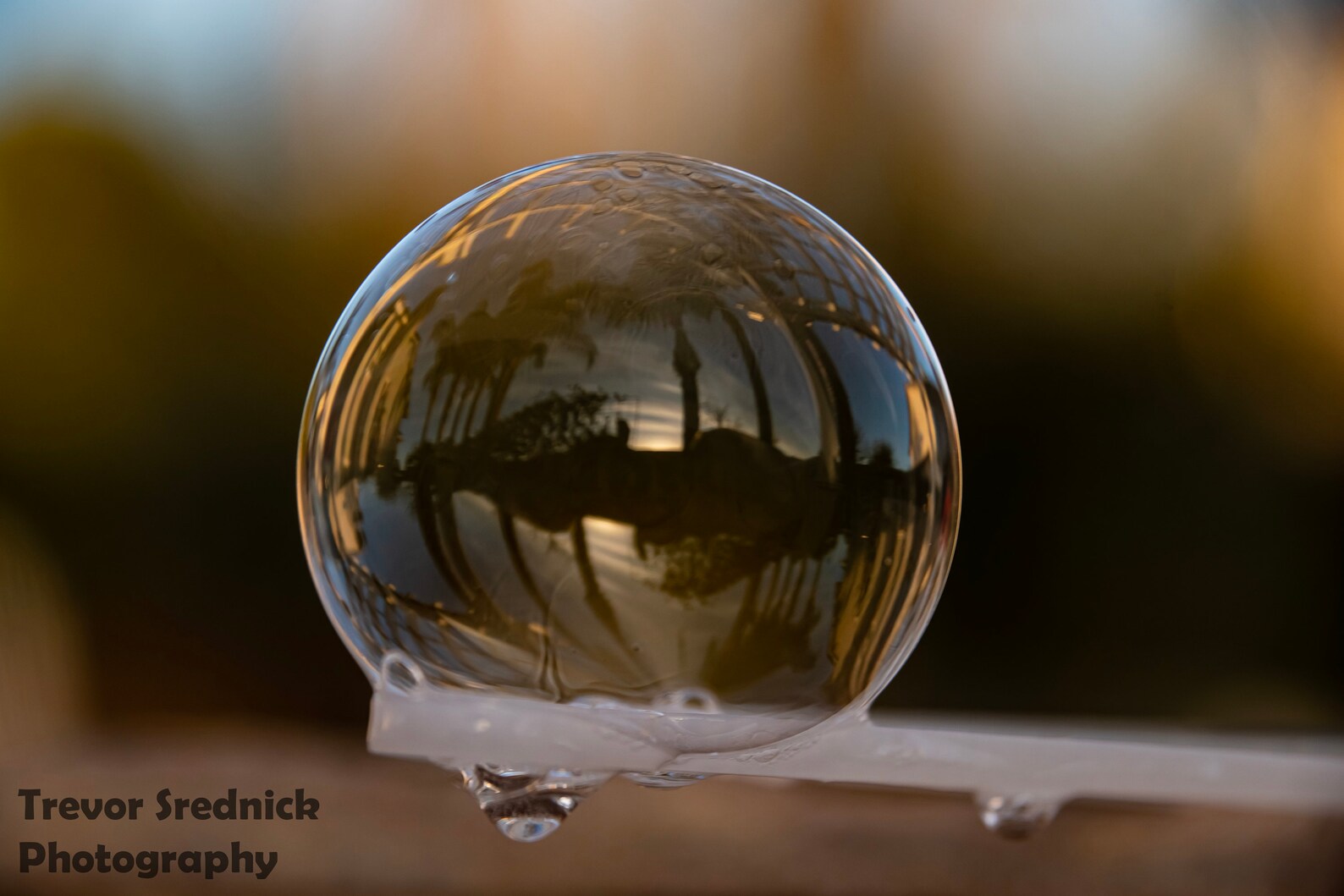 Bubble Reflection - Etsy