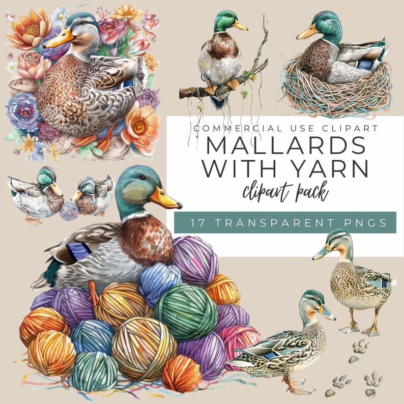Mallards With Yarn Clipart Pack | Instant Download | Commercial Use ...