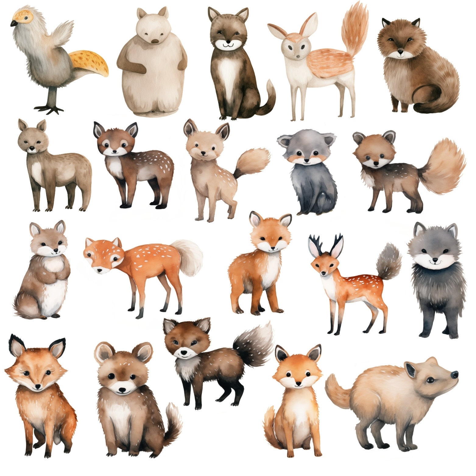 Woodland Animal Clipart Watercolor , 20 High Quality Pngs Transparent ...