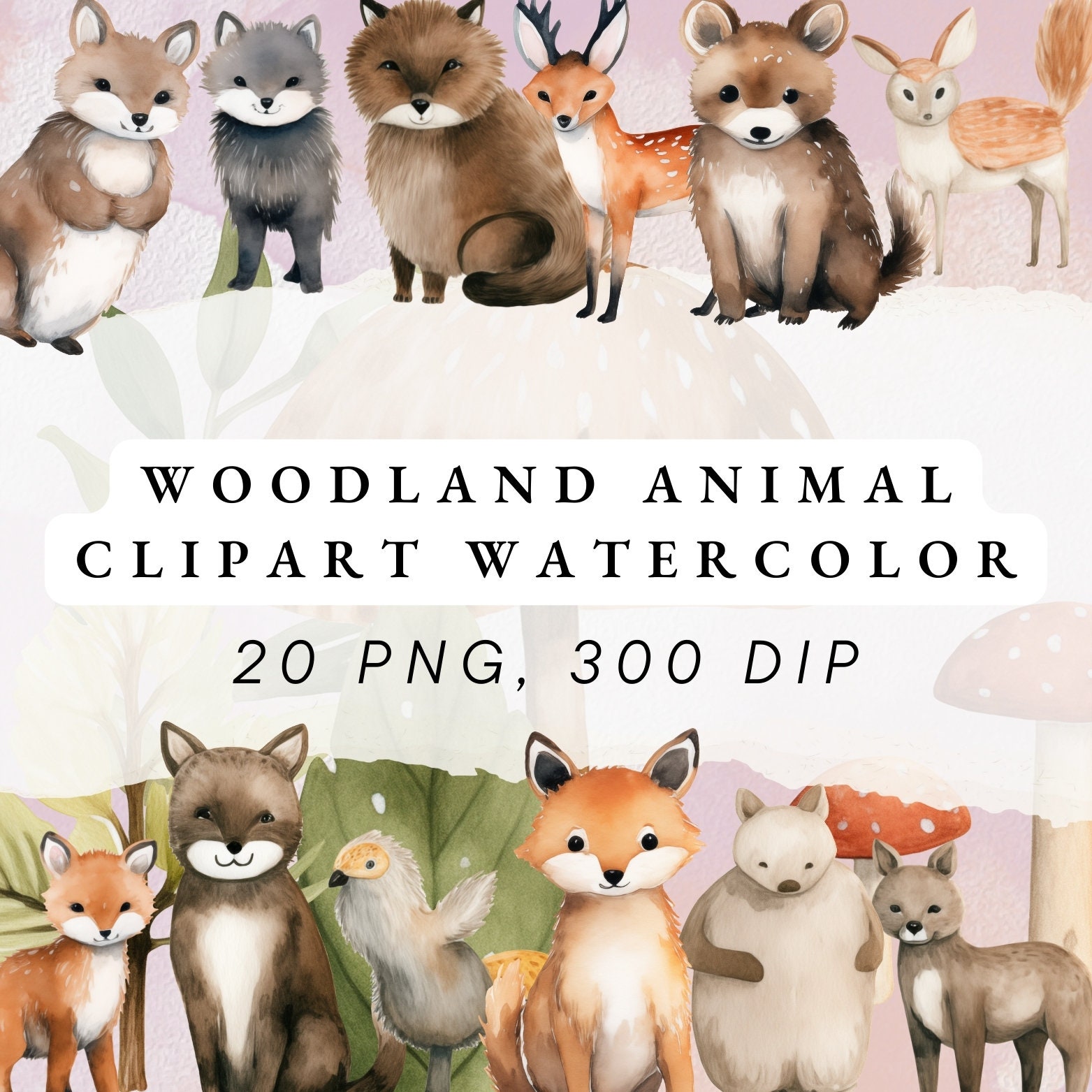 Woodland Animal Clipart Watercolor , 20 High Quality Pngs Transparent ...