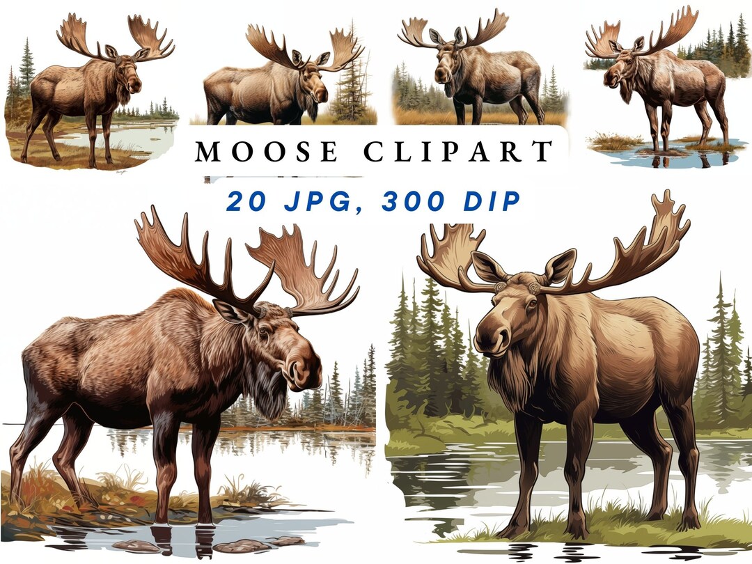 Moose Clipart, 20 High Quality Jpgs, Nursery Art, Digital Download ...