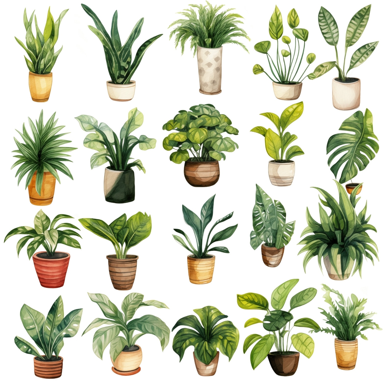 House Plants Clipart Water Color, Home Indoor Plants,20 High Quality ...