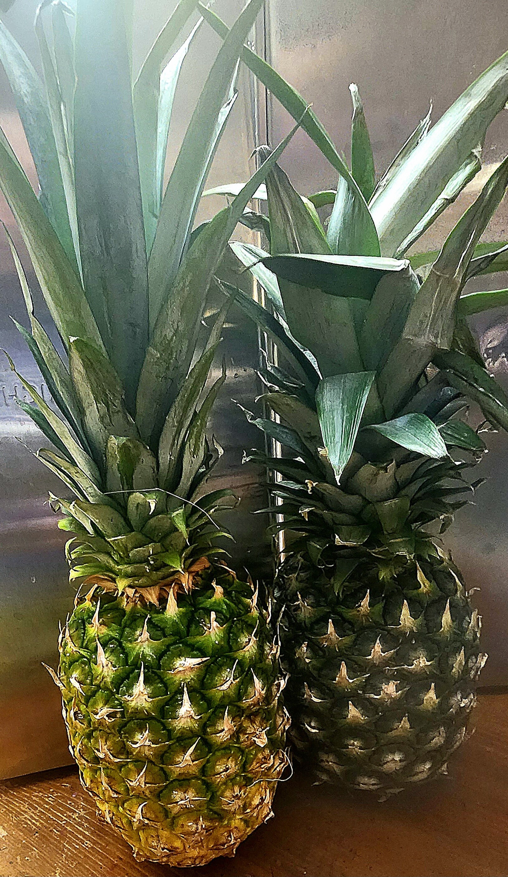 Freeze Dried Fruit - Pineapple - Snack - Etsy