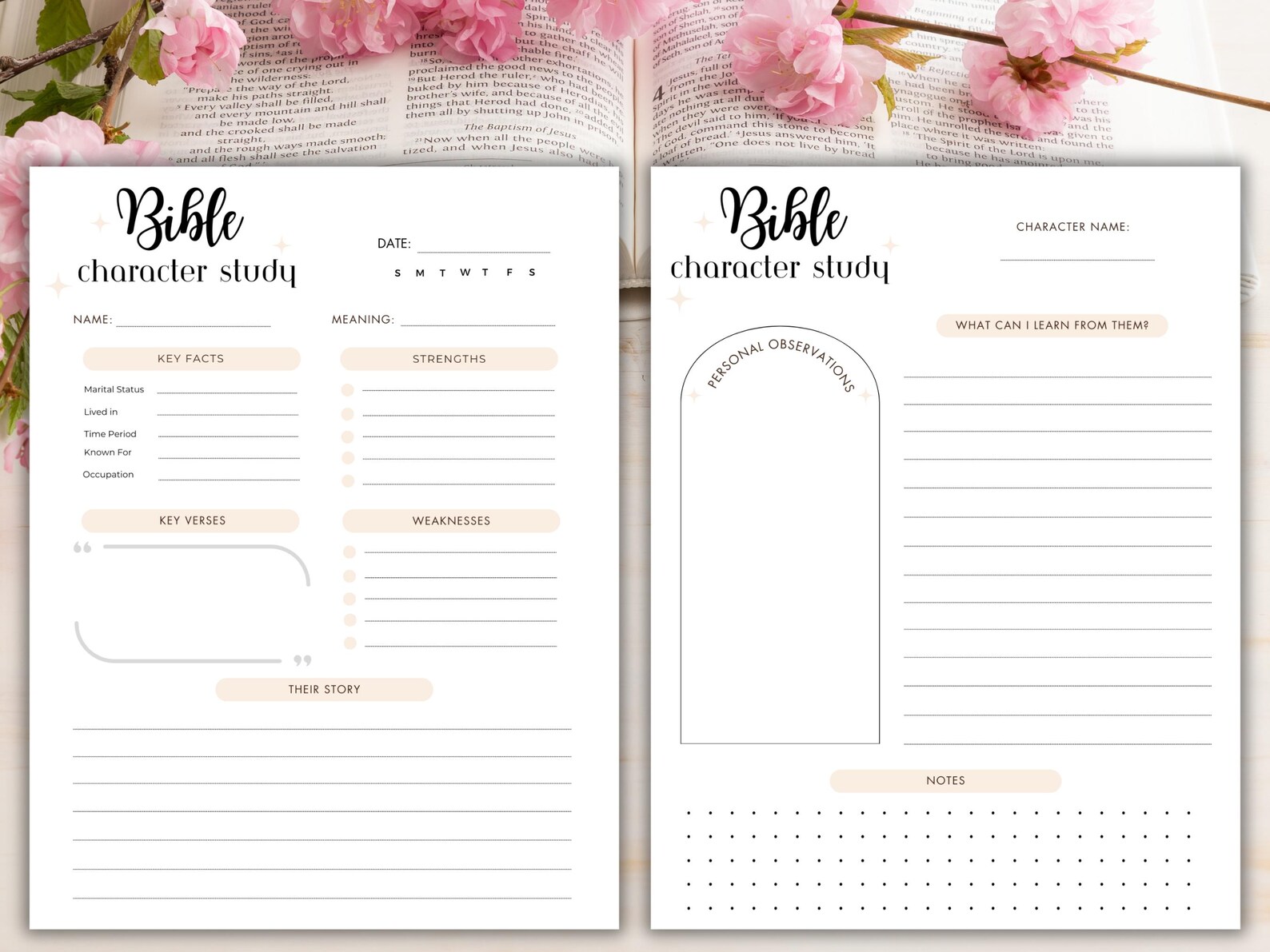 Bible Character Study | Printable Christian Devotional (PDF) - Etsy