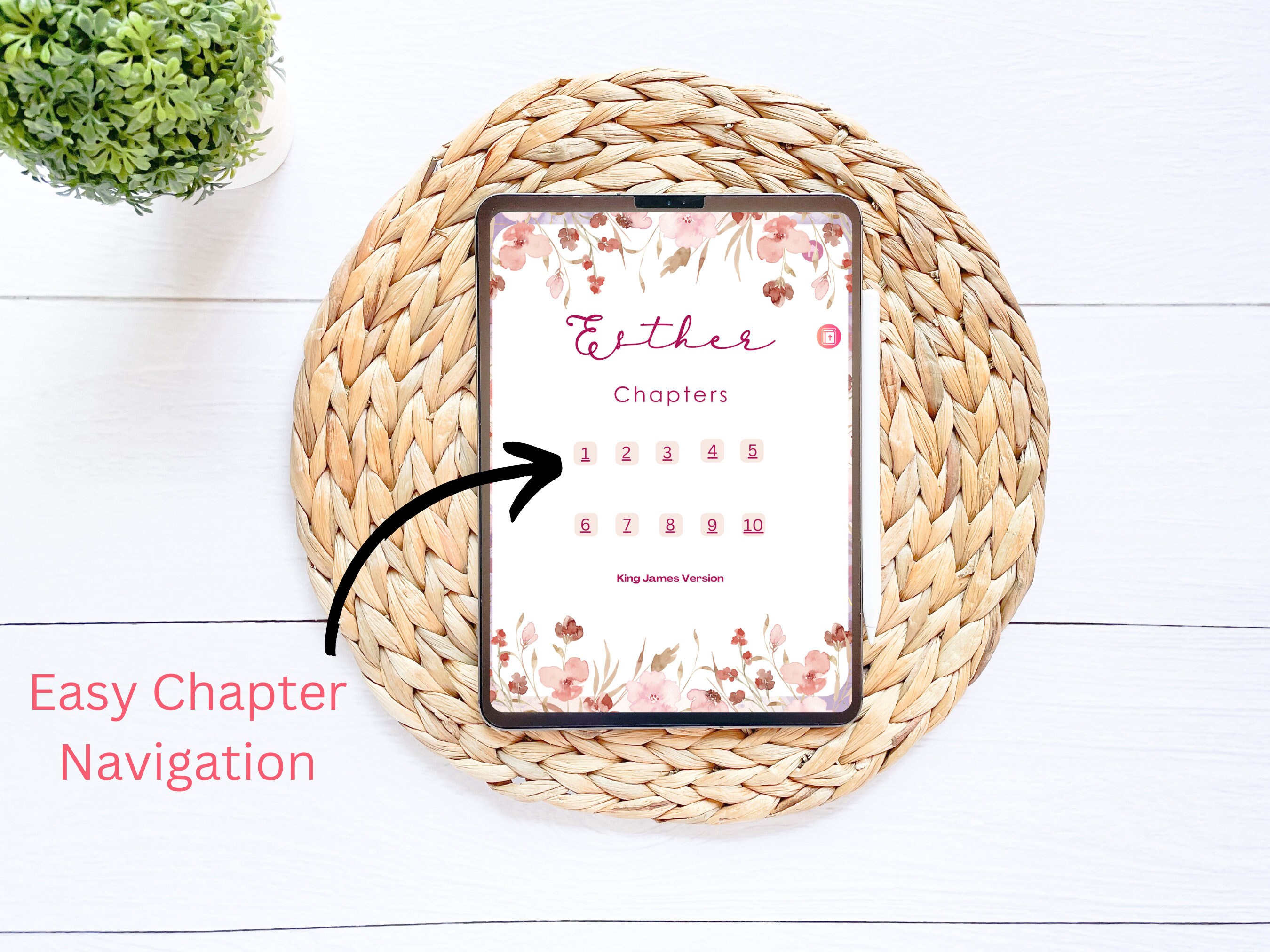 Beautiful Esther Study Book Printable & Digital Study Book, KJV ...