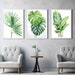 Tropical Leaf Print Wall Art - Fan Palm, Monstera, Banana Decor ...
