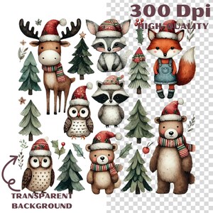 Christmas Woodland Animals PNG, Cute Forest Creatures Clipart, Holiday ...