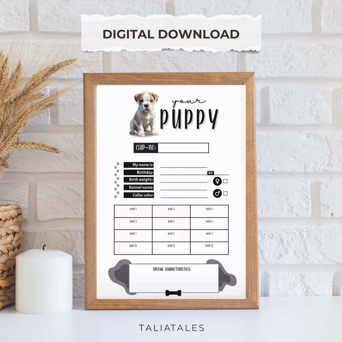 Card Index Card Puppies | Litter Announcement | Dog Breeder | Birth ...