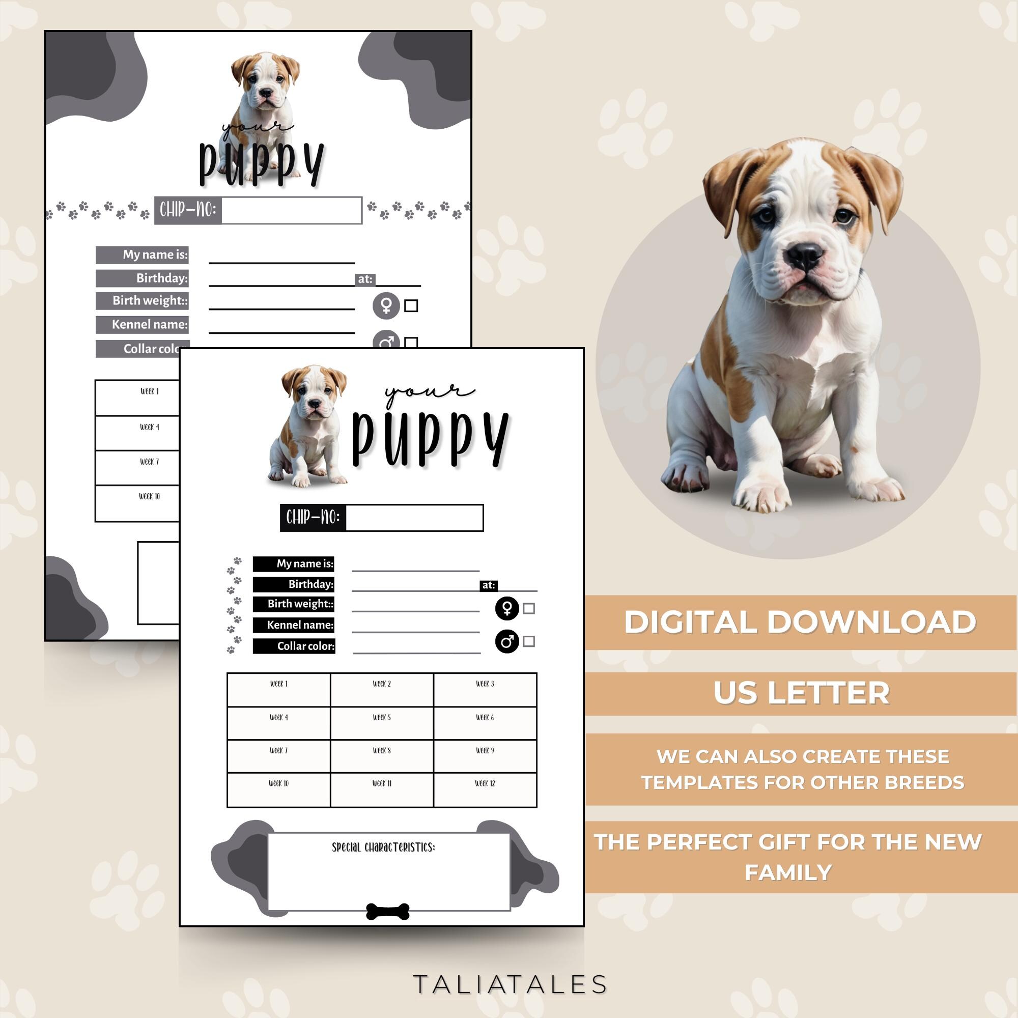 Card Index Card Puppies | Litter Announcement | Dog Breeder | Birth ...
