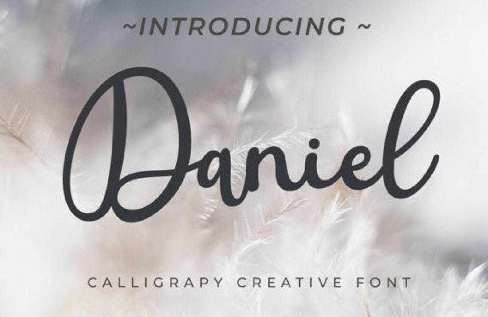 Daniel Font, Sans Serif Fonts, Classy Fonts, Handwritten Font, Luxury ...