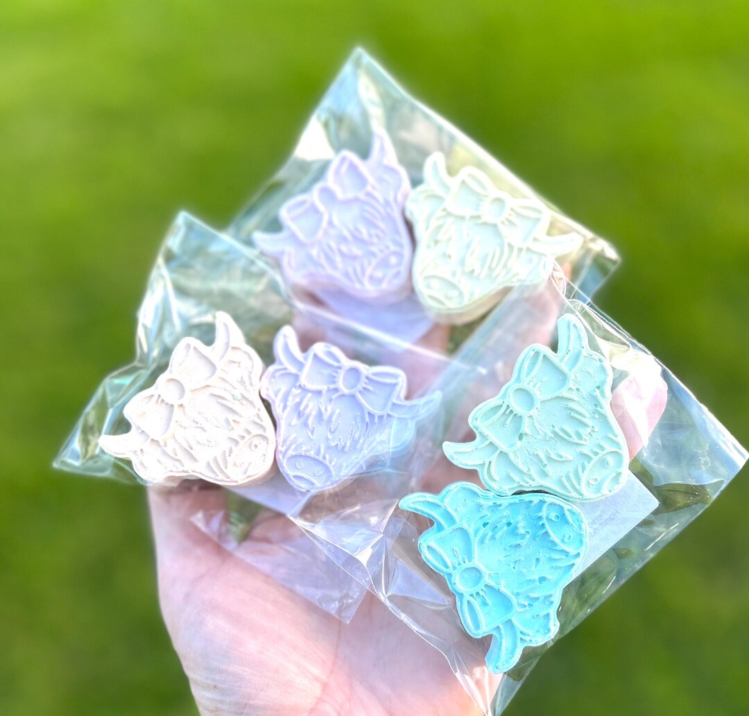 Handmade Highland Cow Themed Chalk Party Favours - Etsy