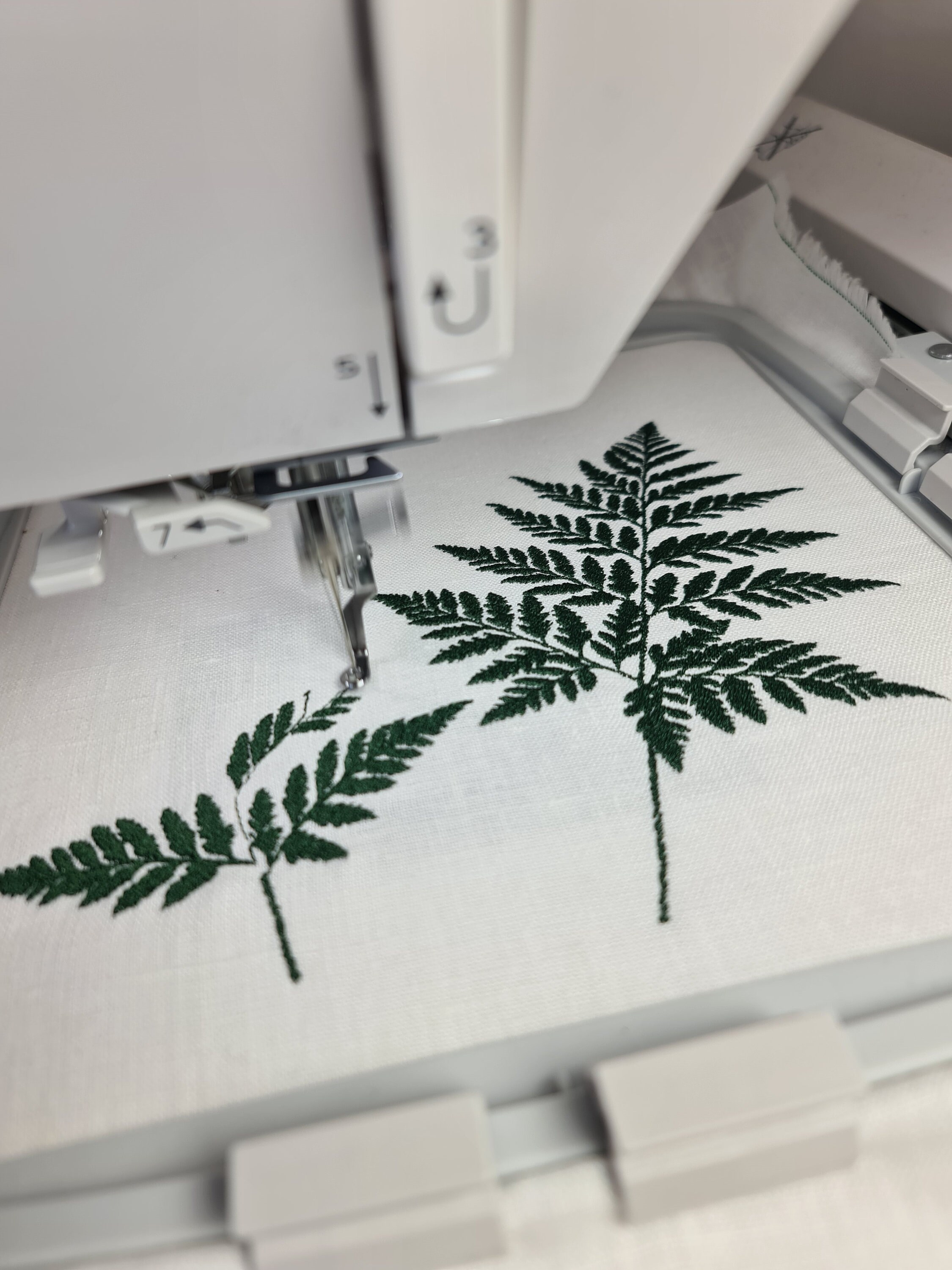 Digital Fern Embroidery Design File Nature Inspired Art Instant ...