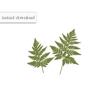 Digital Fern Embroidery Design File Nature Inspired Art Instant ...