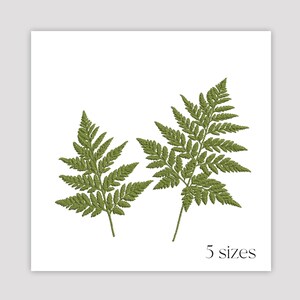 Digital Fern Embroidery Design File Nature Inspired Art Instant ...