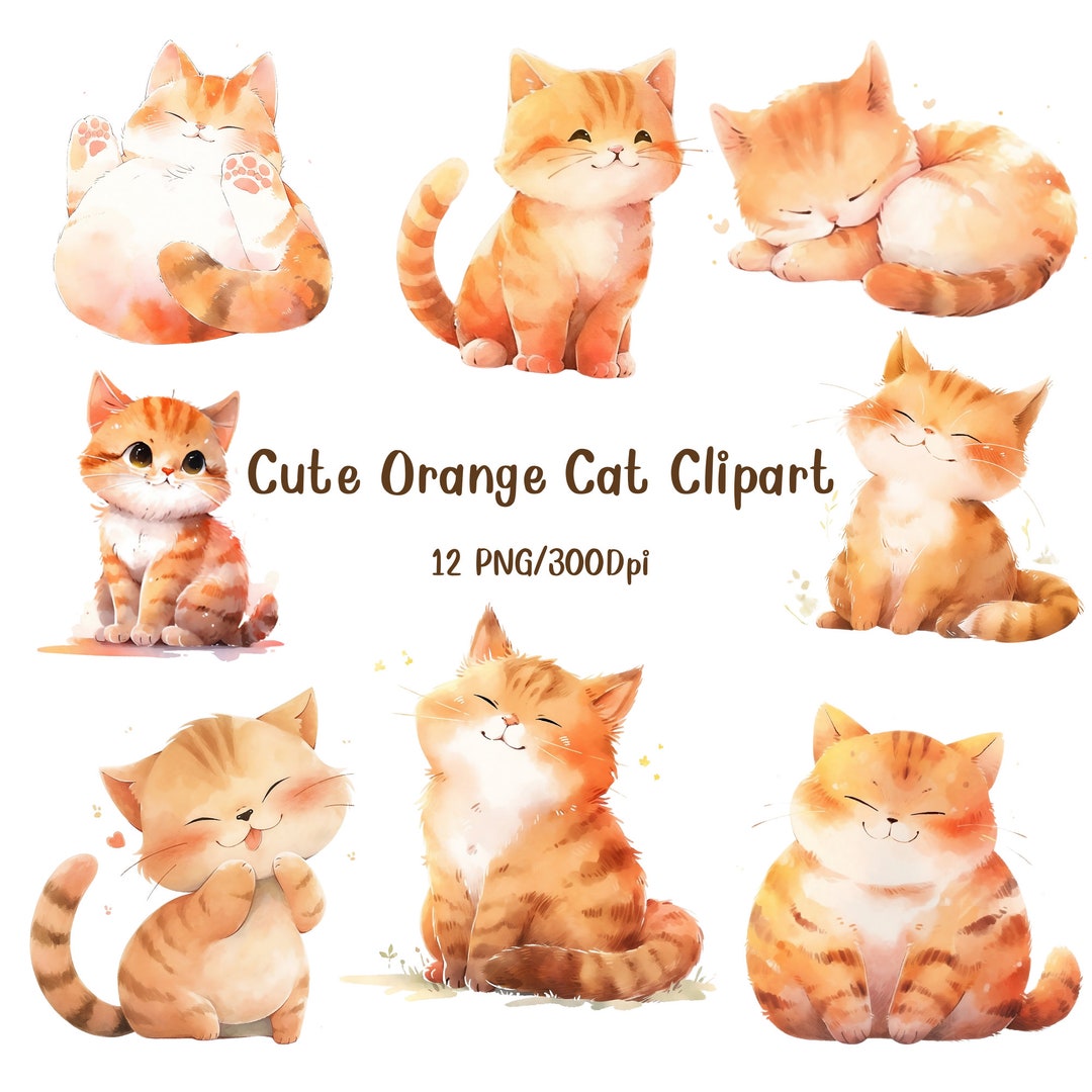 Cute Orange Cat Watercolor Clipart 12 PNG/300 Dpi Digital Download - Etsy